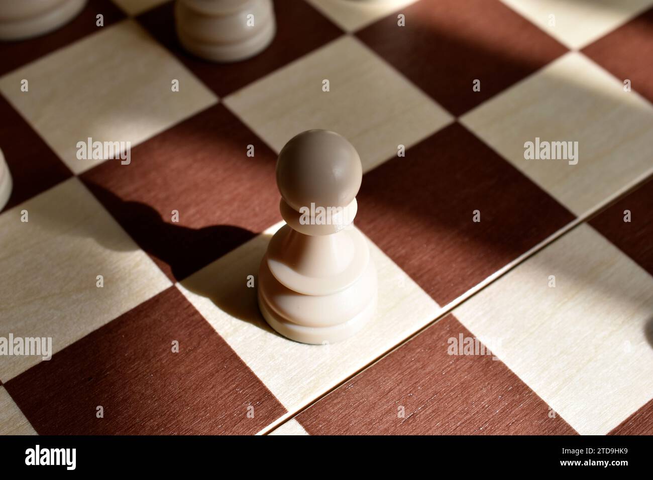 Beautiful chess pieces on the board. The chessboard. Chess competitions ...