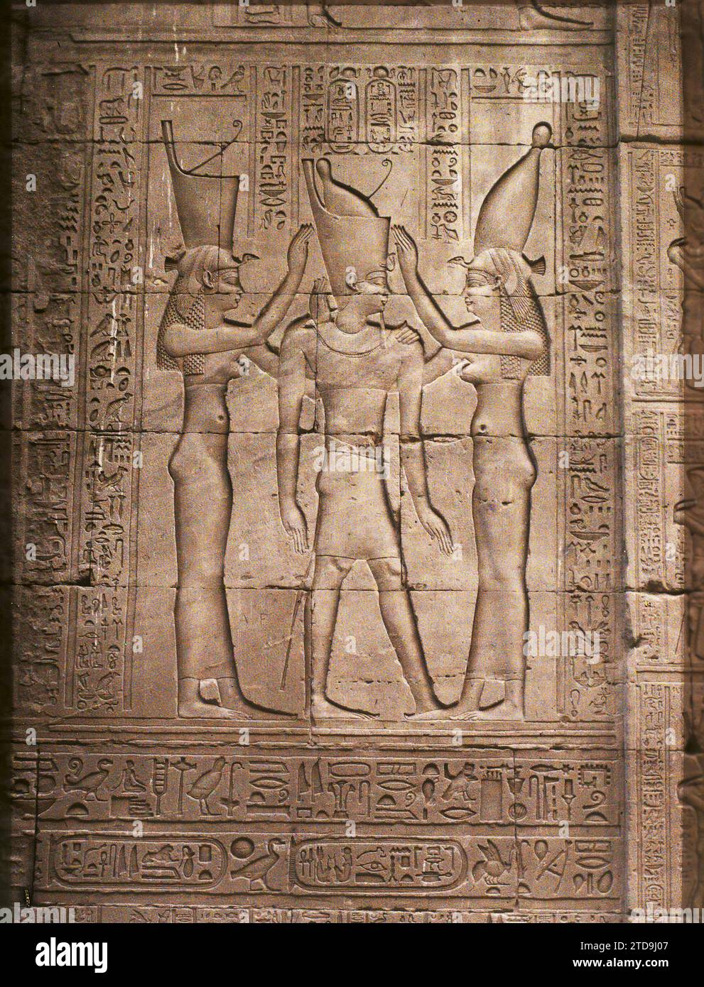 Africa pharaoh ptolemy viii hi-res stock photography and images - Alamy