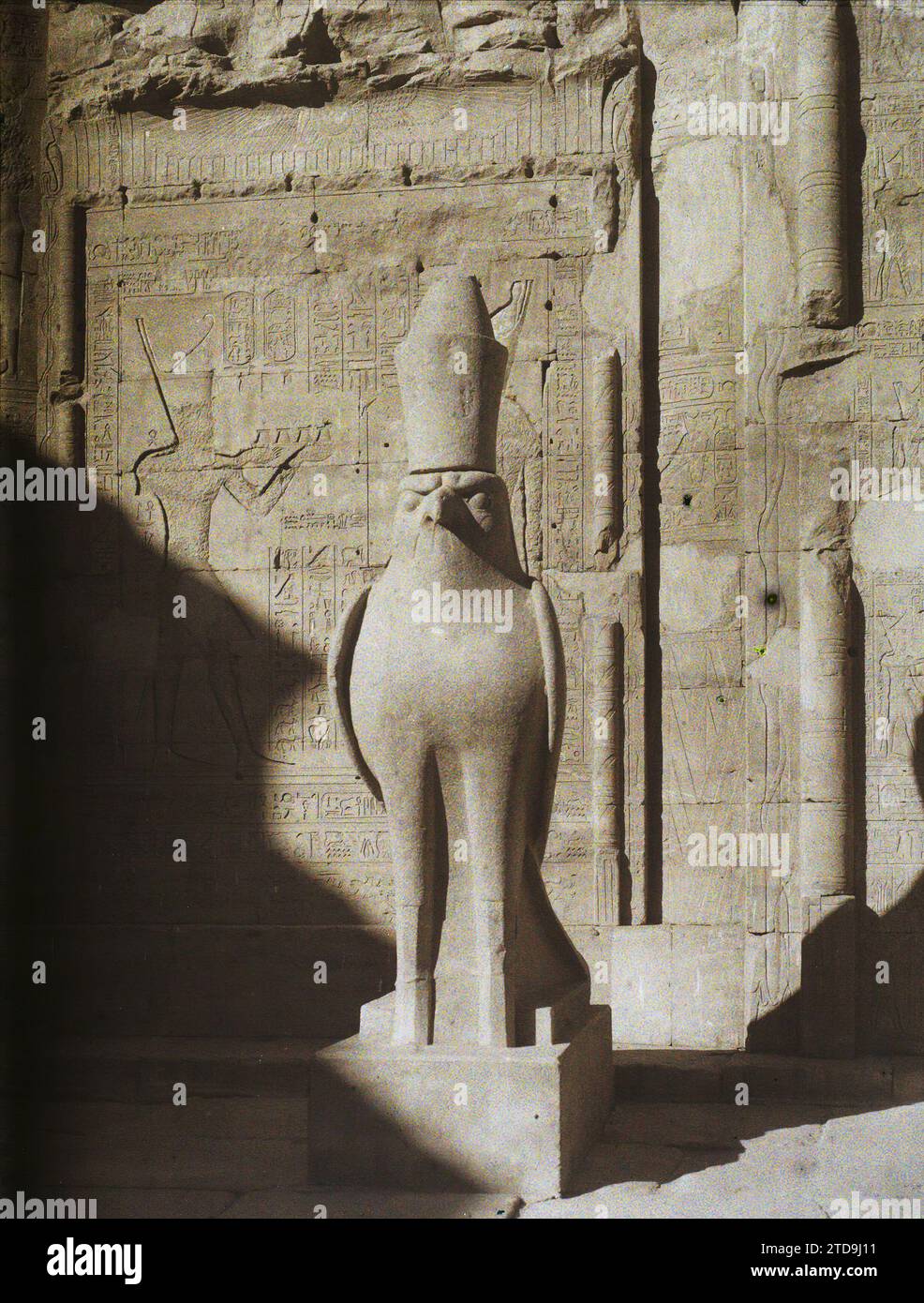 Edfu, Egypt, Africa Statue of falcon at the door of the pronaos ...