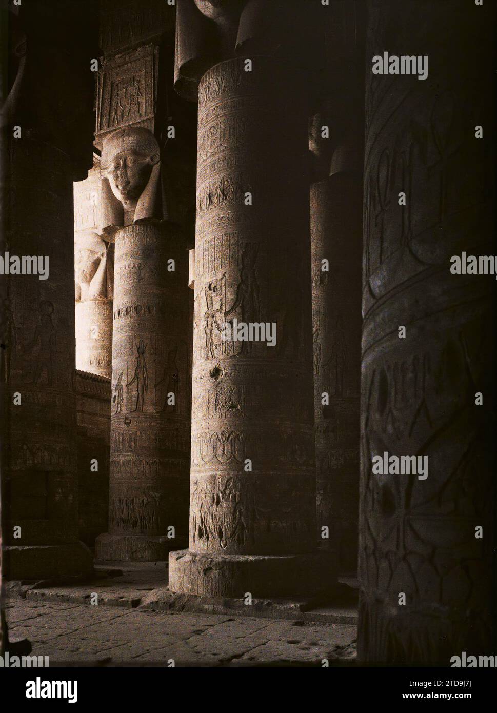 Dendera, Egypt, Africa Hathoric columns of the hypostyle hall of the ...