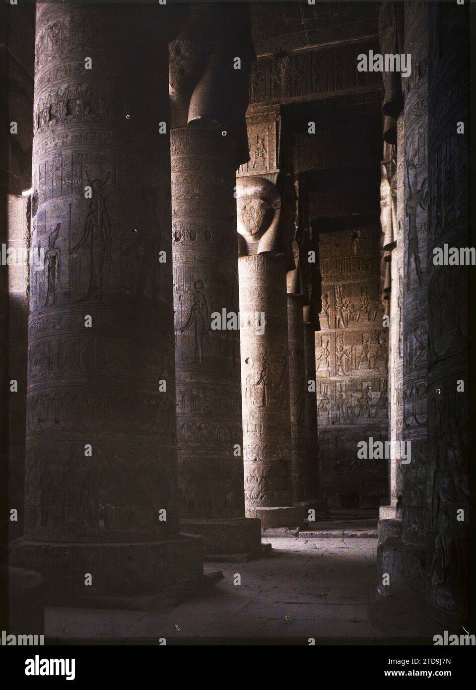 Dendera, Egypt, Africa Hathoric columns of the hypostyle hall of the ...