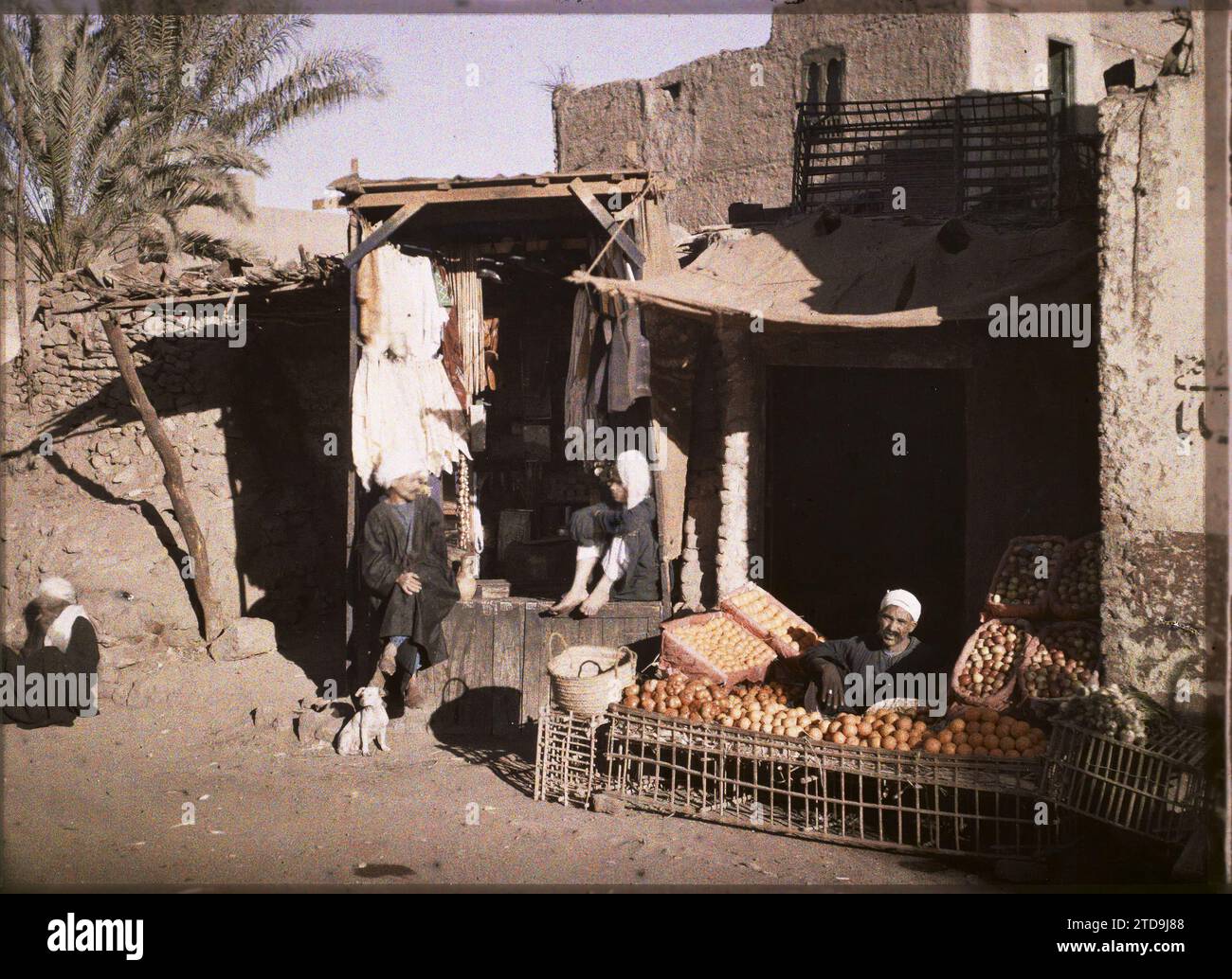 Louqsor, Egypt, Africa Two shops in the city, Economic activity, Animal ...