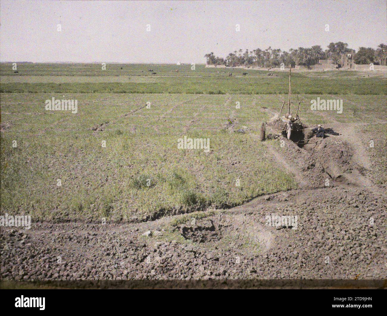 Breeding installation hi-res stock photography and images - Alamy