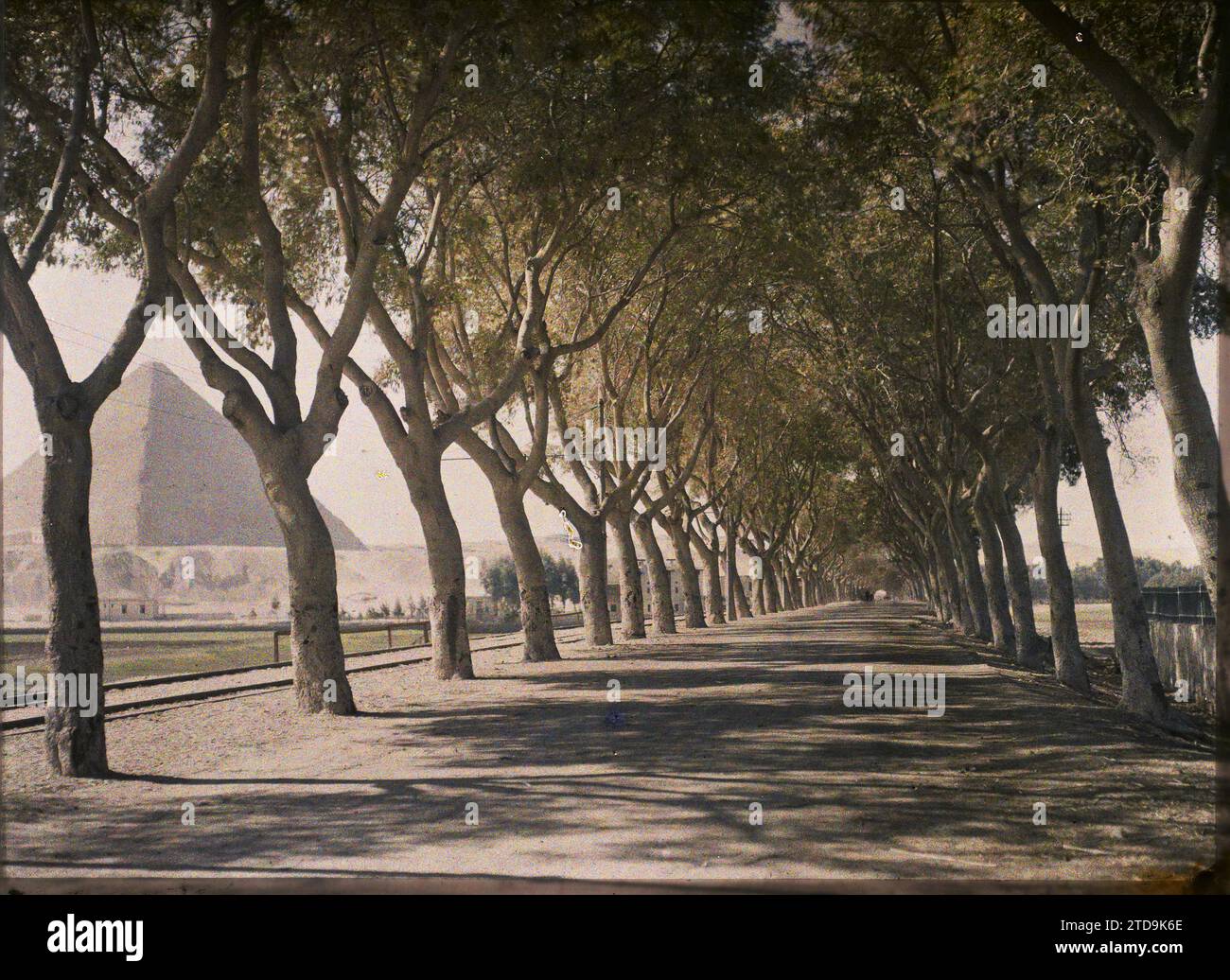 Around Cairo, Egypt, Africa Road leading to the pyramids of Giza ...