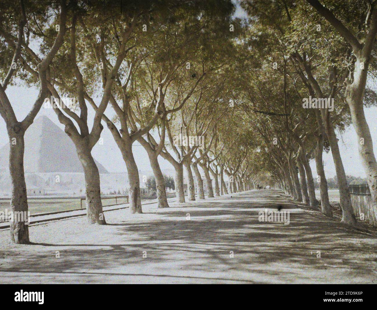 Around Cairo, Egypt, Africa Road leading to the pyramids of Giza ...