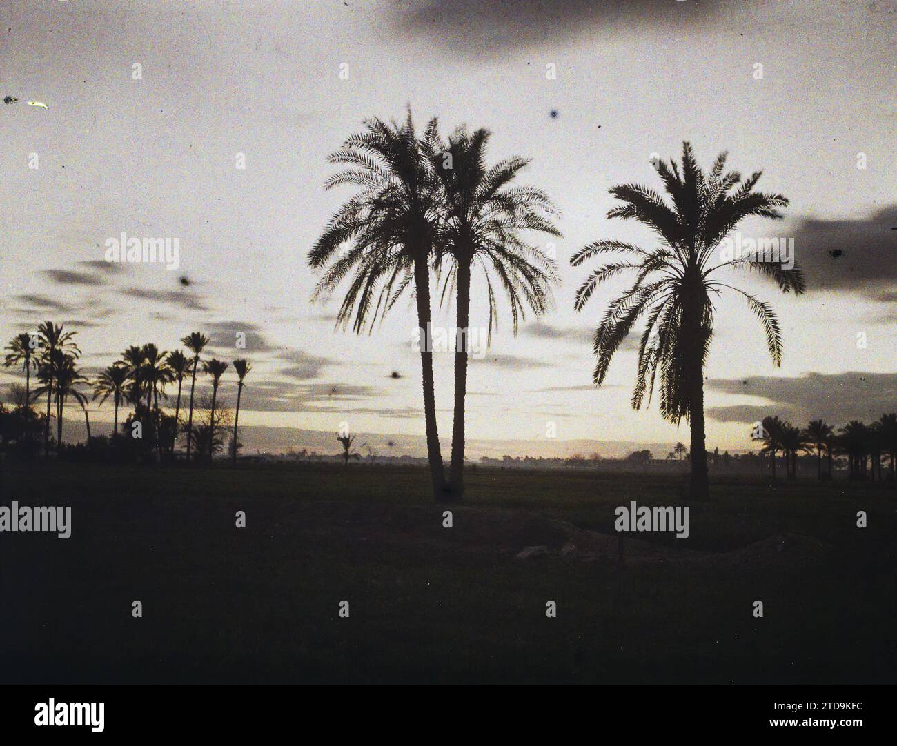 1914 egypte auguste leon hi-res stock photography and images - Alamy