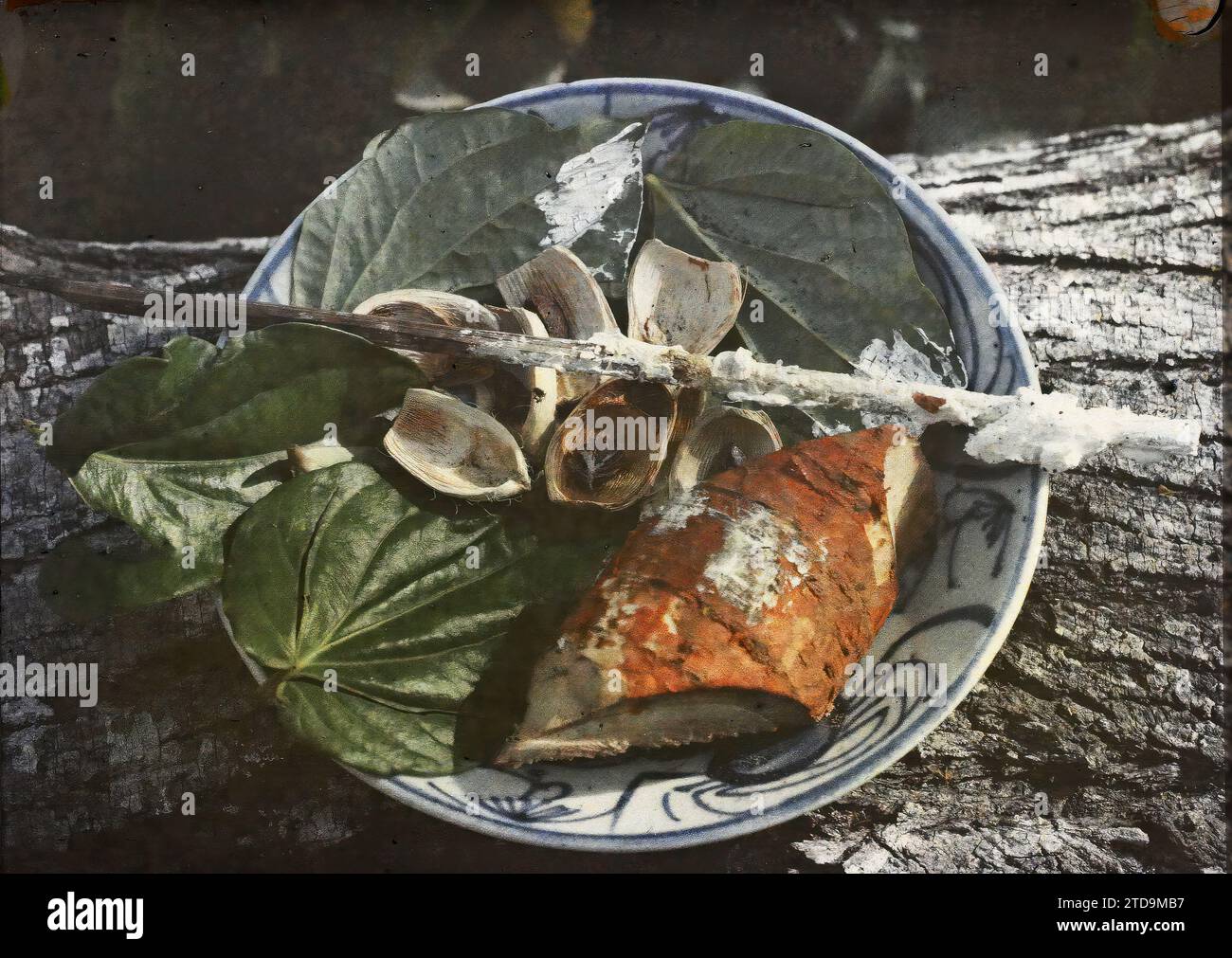 Tonkin, Indochina The elements necessary for chewing betel: vô chay ...