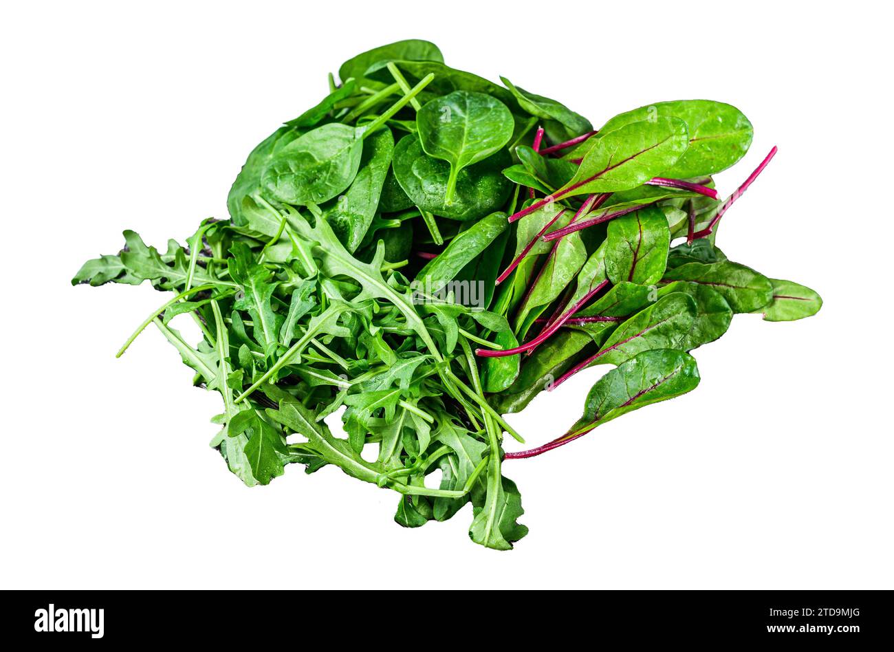 Fresh mixed greens, spinach, swiss chard and arugula. Isolated on white ...