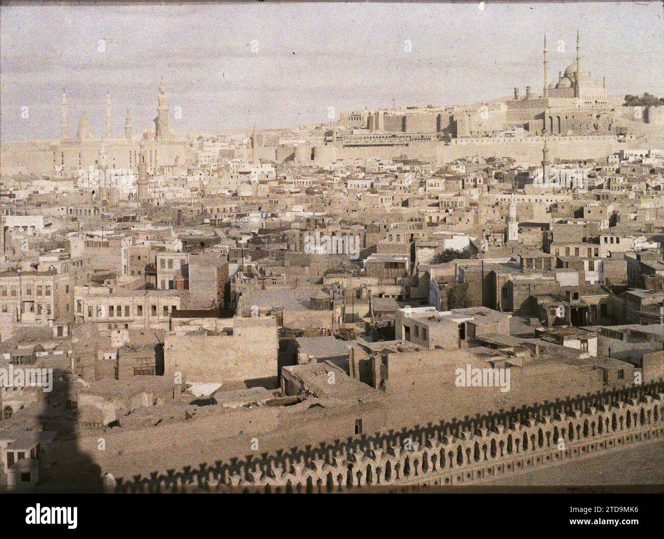 Cairo, Egypt, Africa Panorama of the citadel and the Méhémet Ali mosque ...