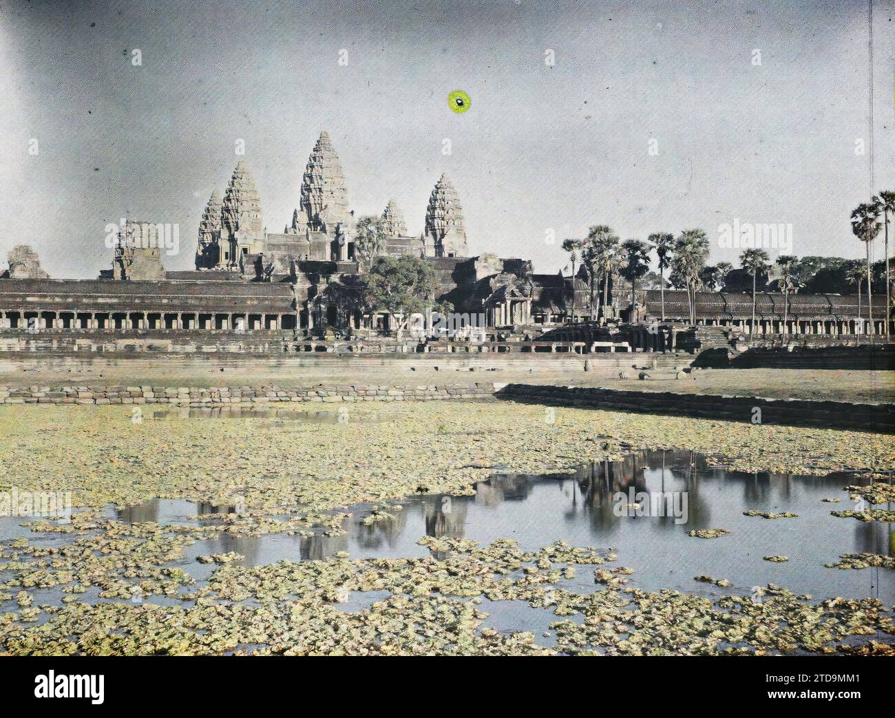 Three level pyramid forming hi-res stock photography and images - Alamy