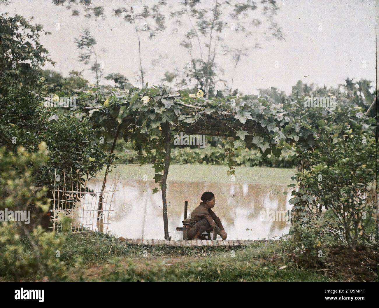 Tonkin, Indochina A man crouching on the edge of a pond, in the shade ...