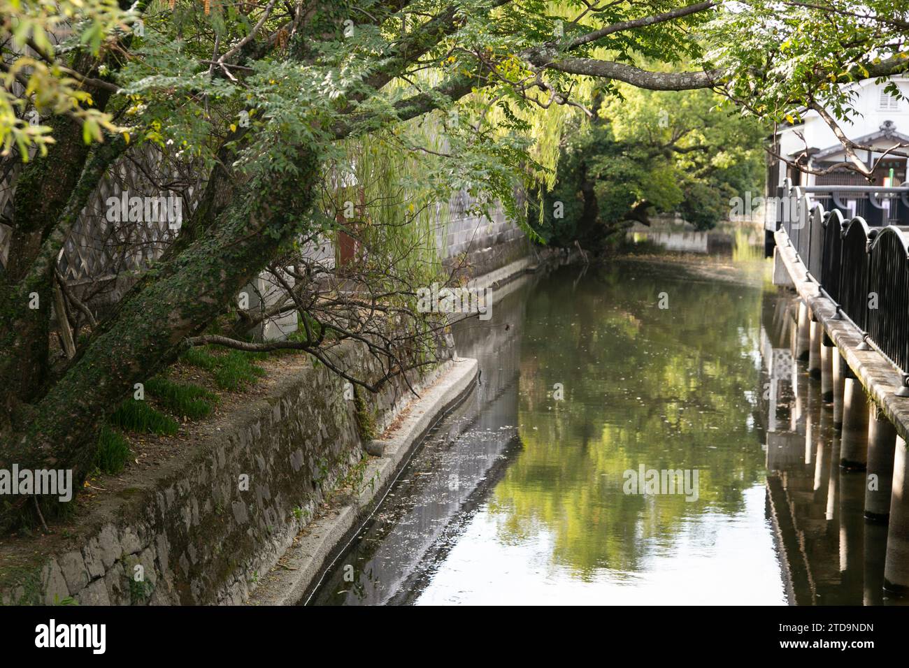 The city of Yanagawa in Fukuoka has beautiful canals to stroll along ...