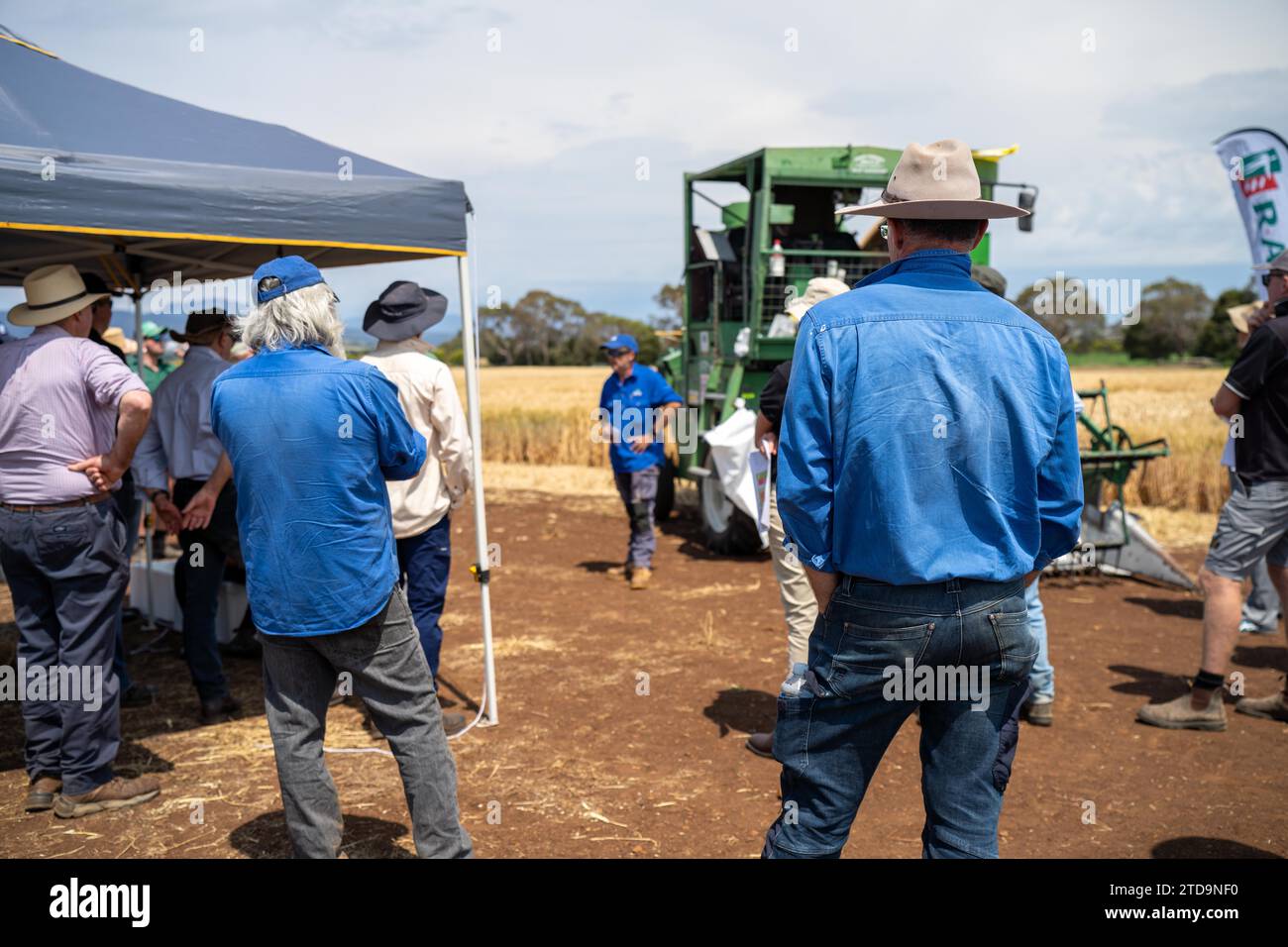 group of growers in a field at a field day learning about wheat crops ...