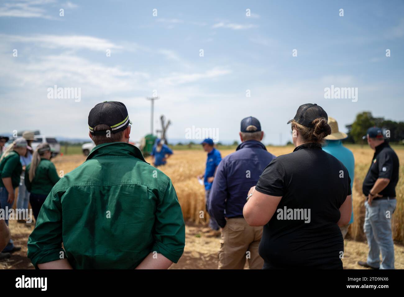 agricultural students in a field learning about crop farming Stock ...