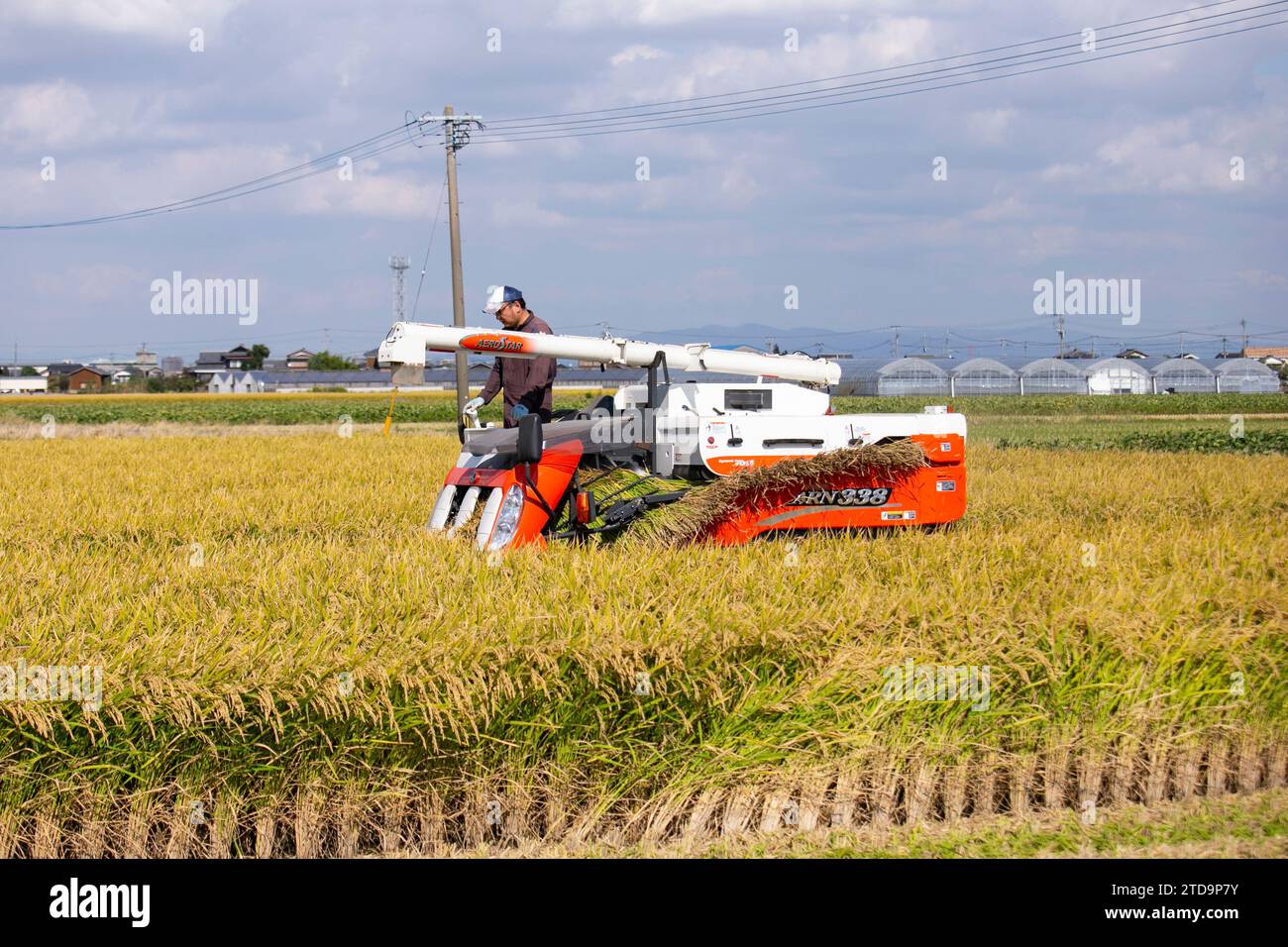 Niigata, Japan; 1st October 2023: Farmer working on a Japanese rice ...