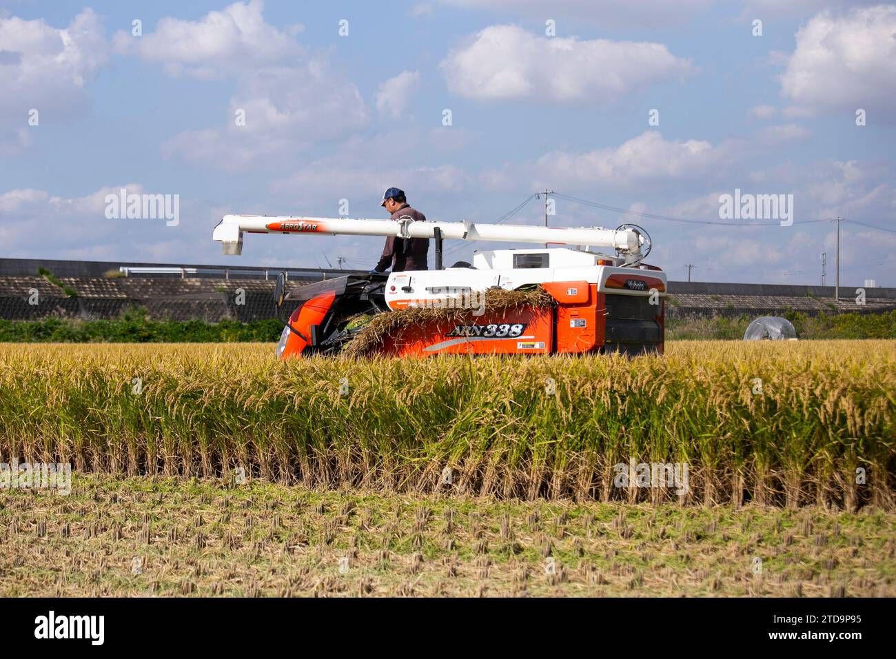 Niigata, Japan; 1st October 2023: Farmer working on a Japanese rice ...