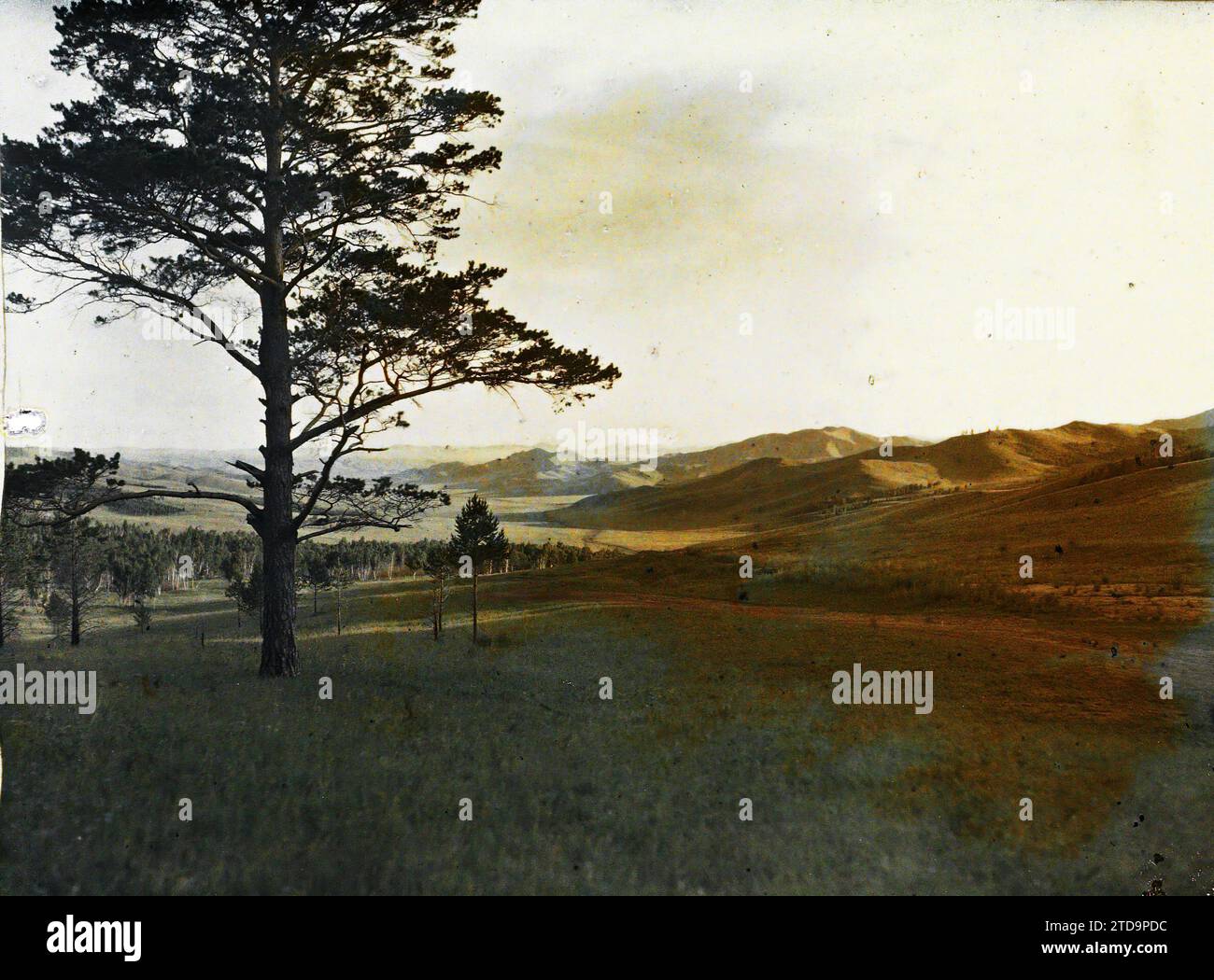 1913 mongolie hi-res stock photography and images - Alamy