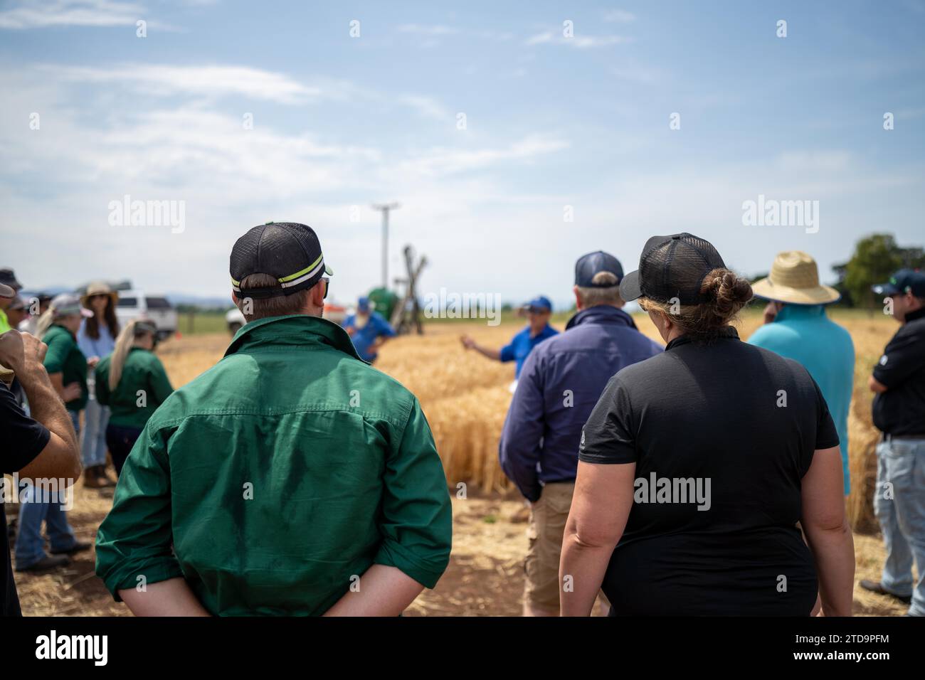 group of farmers in a field learning about wheat and barley crops from ...