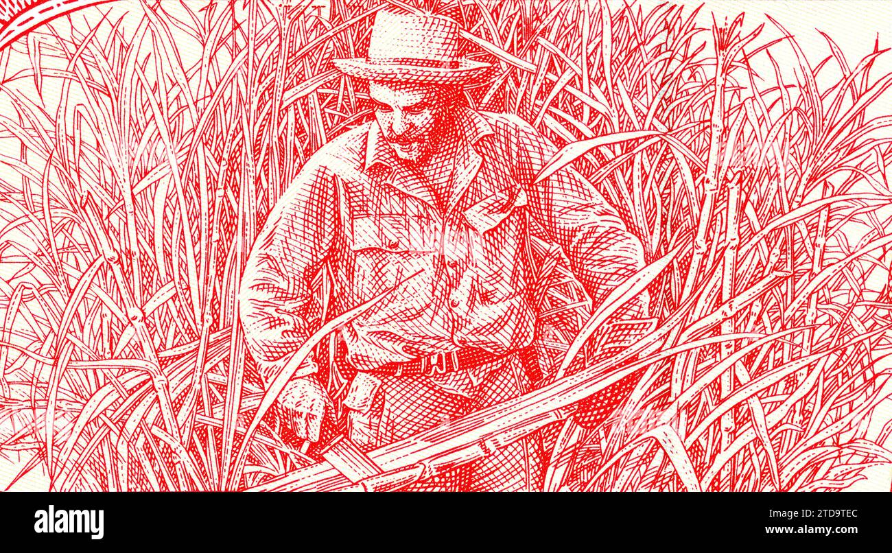 Ernesto Che Guevara harvesting sugar cane. Drawing from a Cuban 3 pesos ...