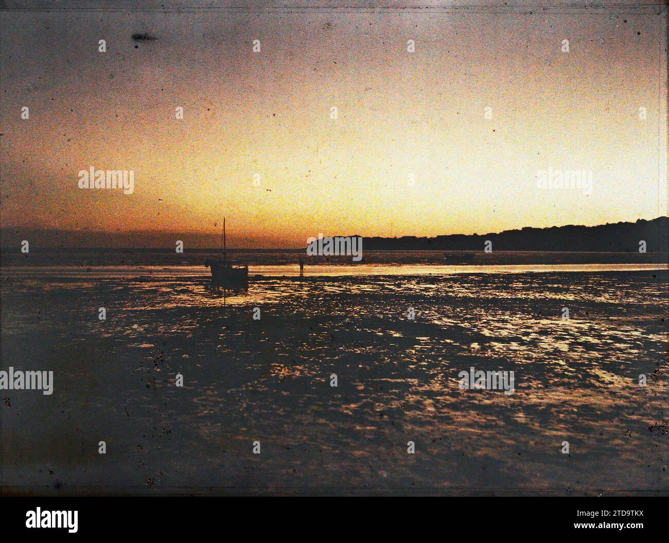 Bombay, India Sunset, Nature, Environment, Landscape, Sea, ocean ...