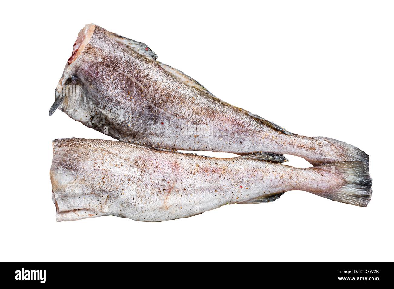 Black cod Cut Out Stock Images & Pictures - Alamy