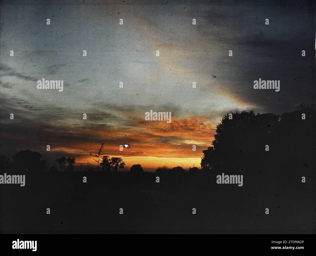 Lahore, India (current Pakistan), Nature, Environment, Landscape ...