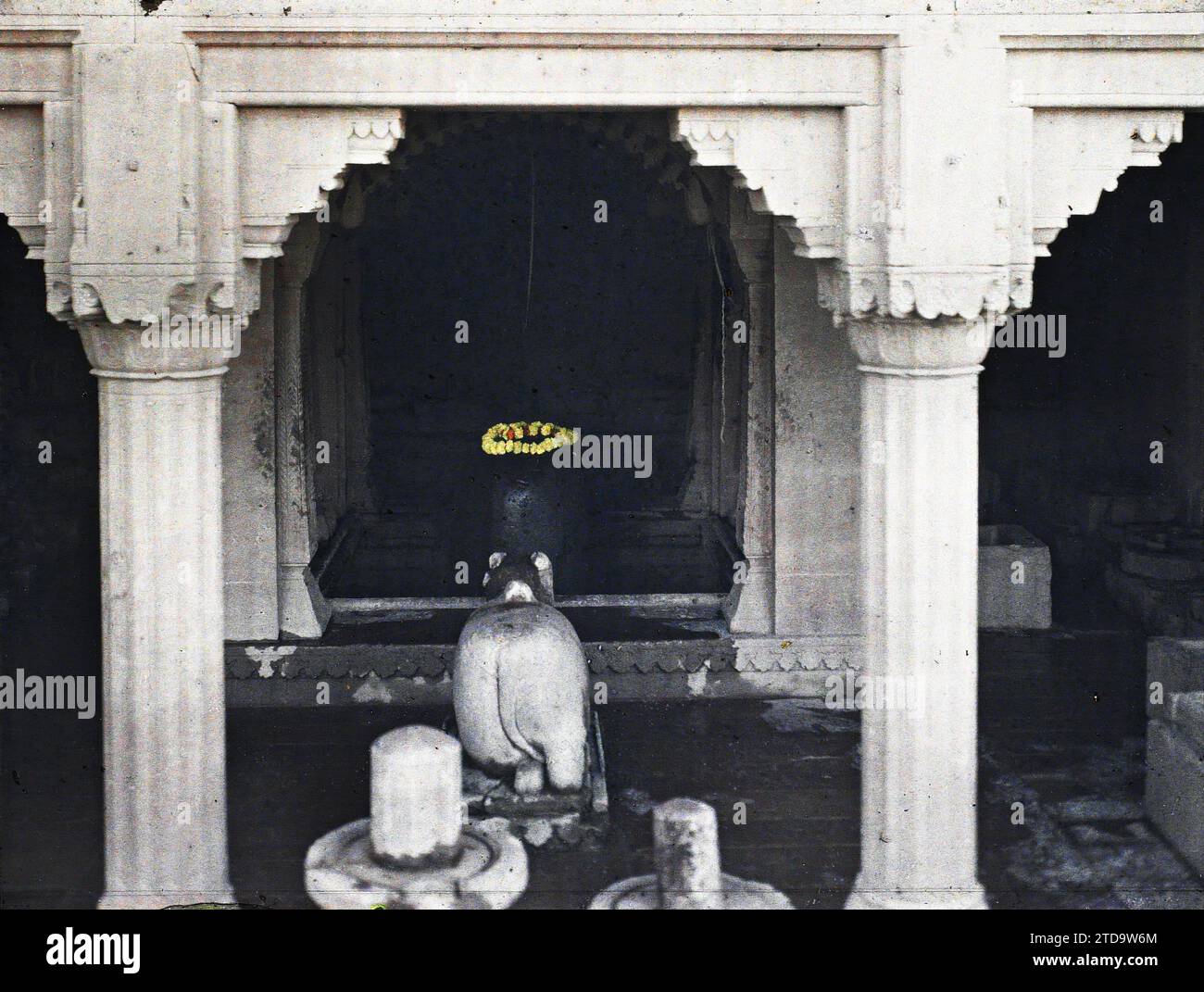 Benares, India Temple, Animal, Religion, Art, Habitat, Architecture ...