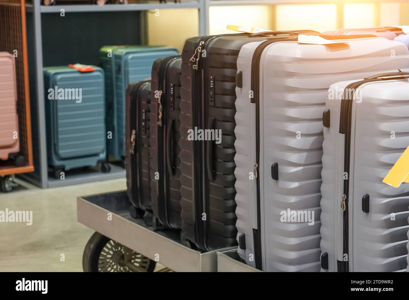 Suitcases of simple colors on showcase at an exhibition in a store ...