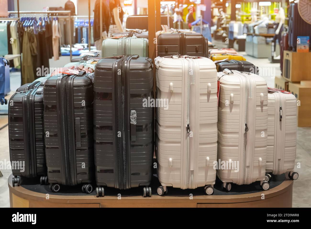 Row black white various sizes suitcases of simple colors on showcase display at an exhibition in ...