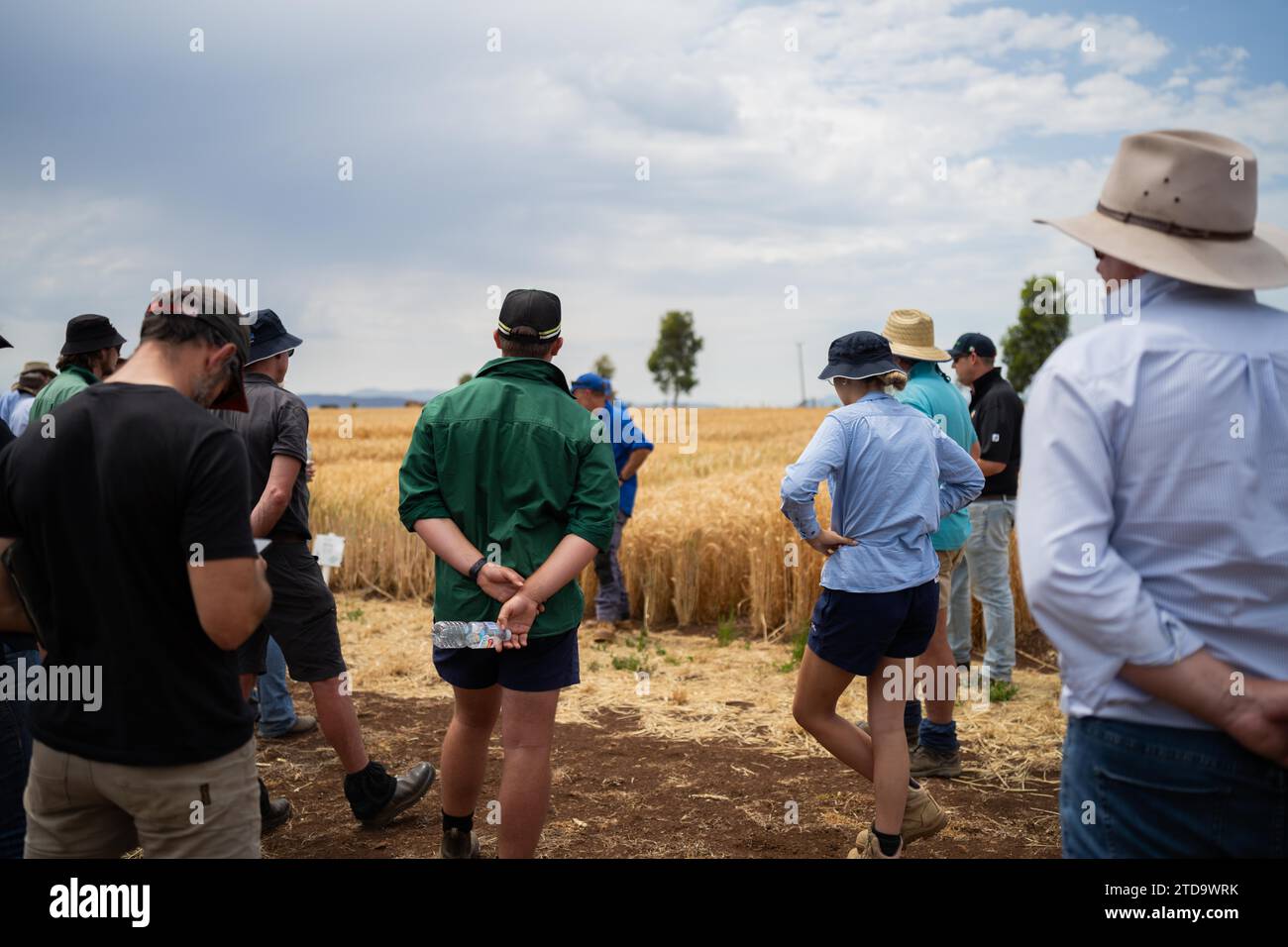 group of farmers doing a crop walk learning about crop health and ...