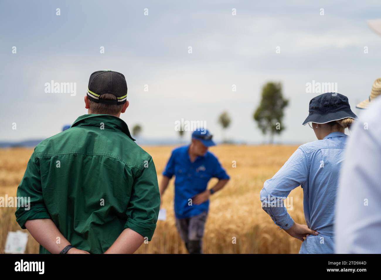 agricultural students in a field learning about crop farming Stock ...