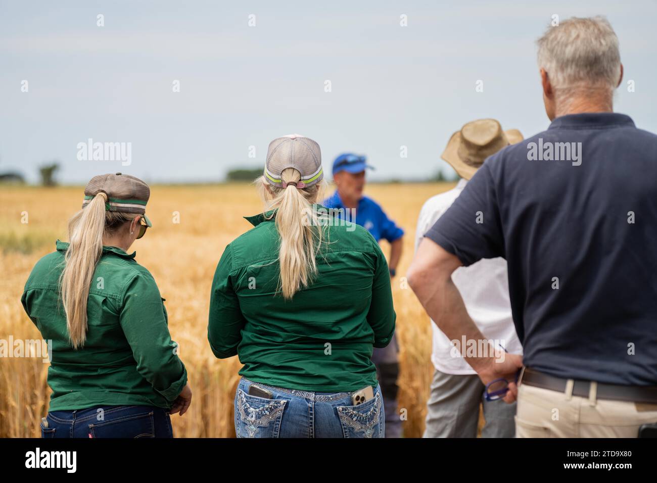regenerative organic farmer, learning about cereal crops and looking at ...