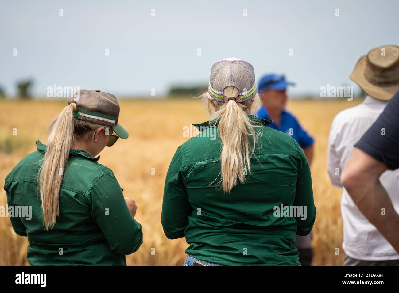 group of farmers doing a crop walk learning about crop health and ...