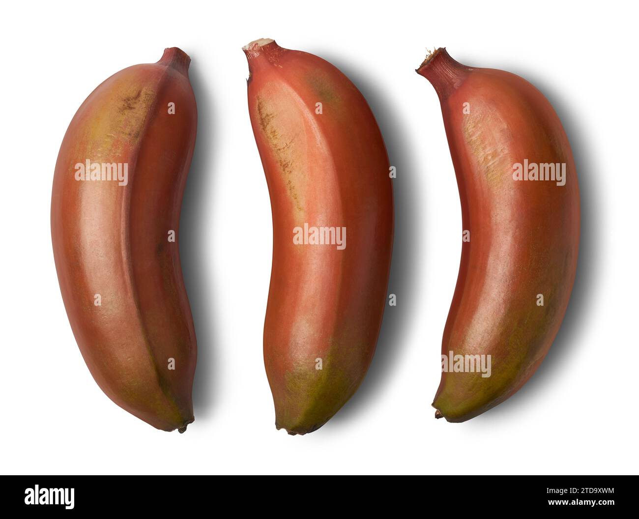 Cuban fiber hi-res stock photography and images - Alamy