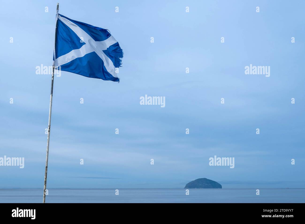 Scotland Flag and Ailsa Craig, Ayrshine, Scotland Stock Photo - Alamy