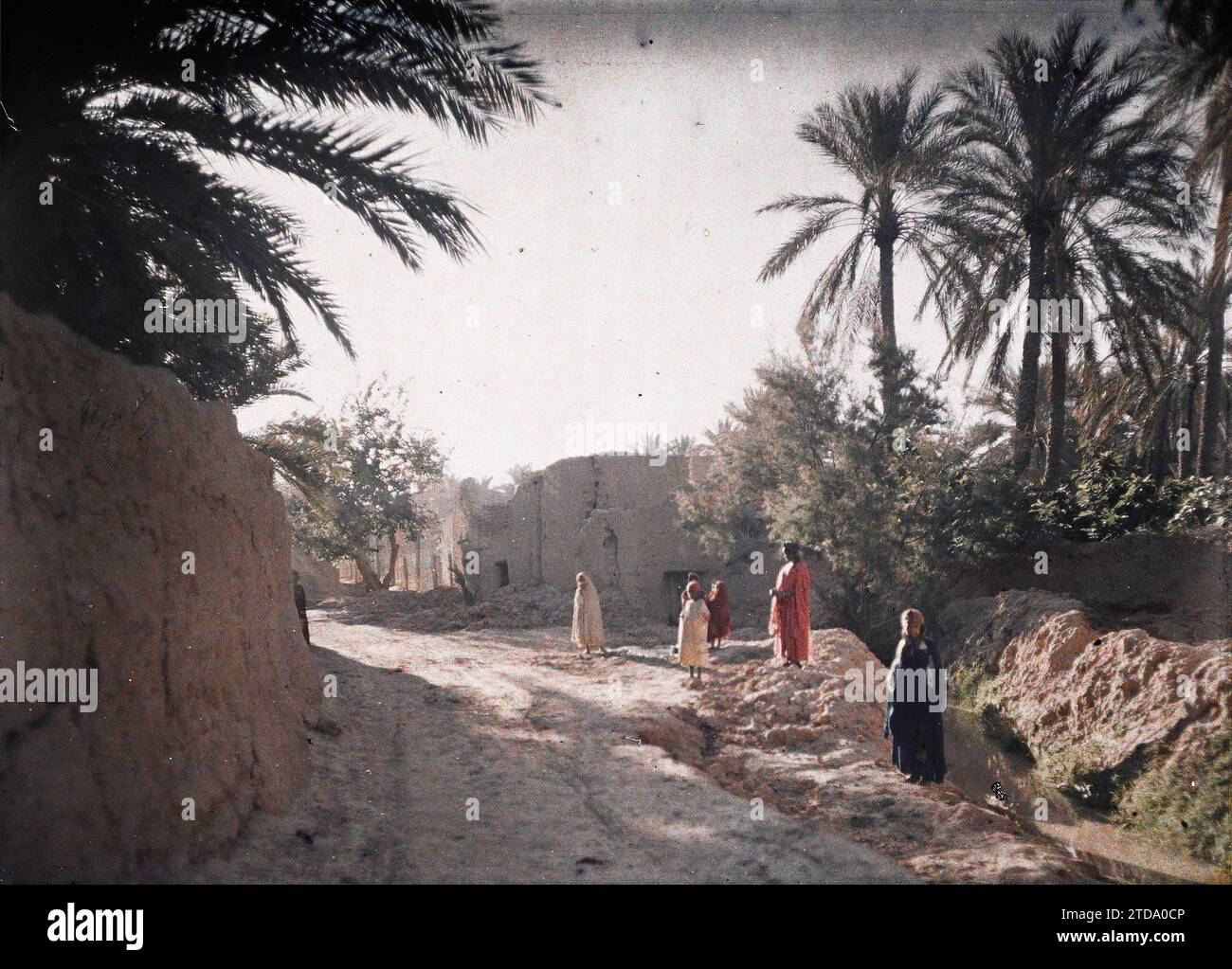 Women daily life algeria hi-res stock photography and images - Alamy