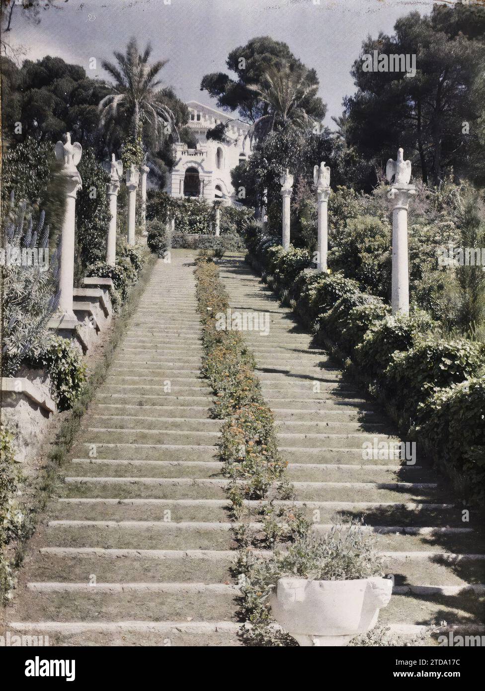 Cap Martin, France The Cypris villa dominating the large flowered ...