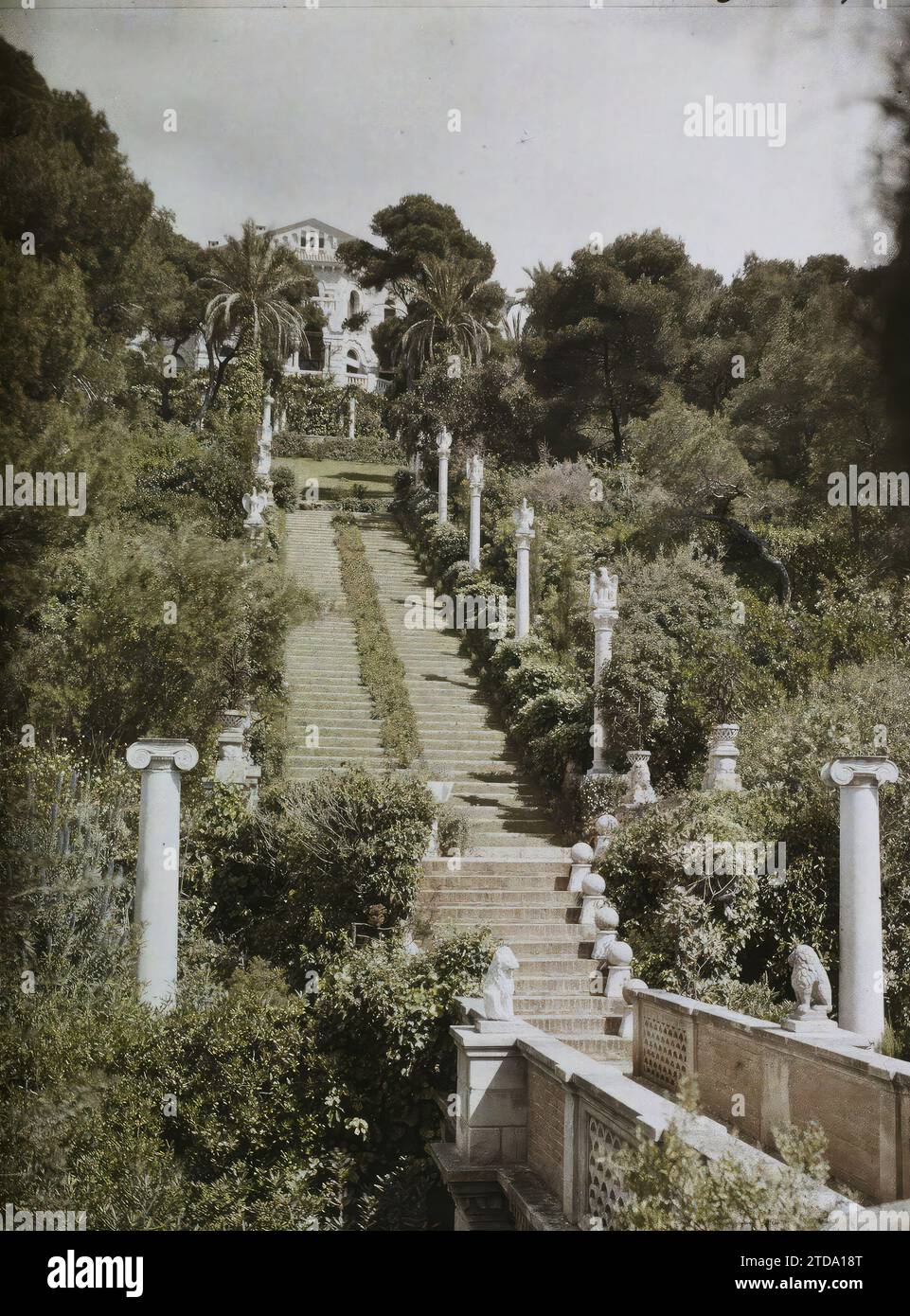 Cap Martin, France The Cypris villa dominating the large flowered ...