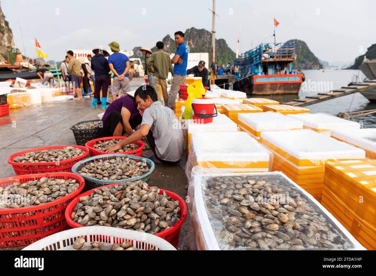 Ha Long bay in Vietnam. Fishermen on market offer seafood, fruits ...
