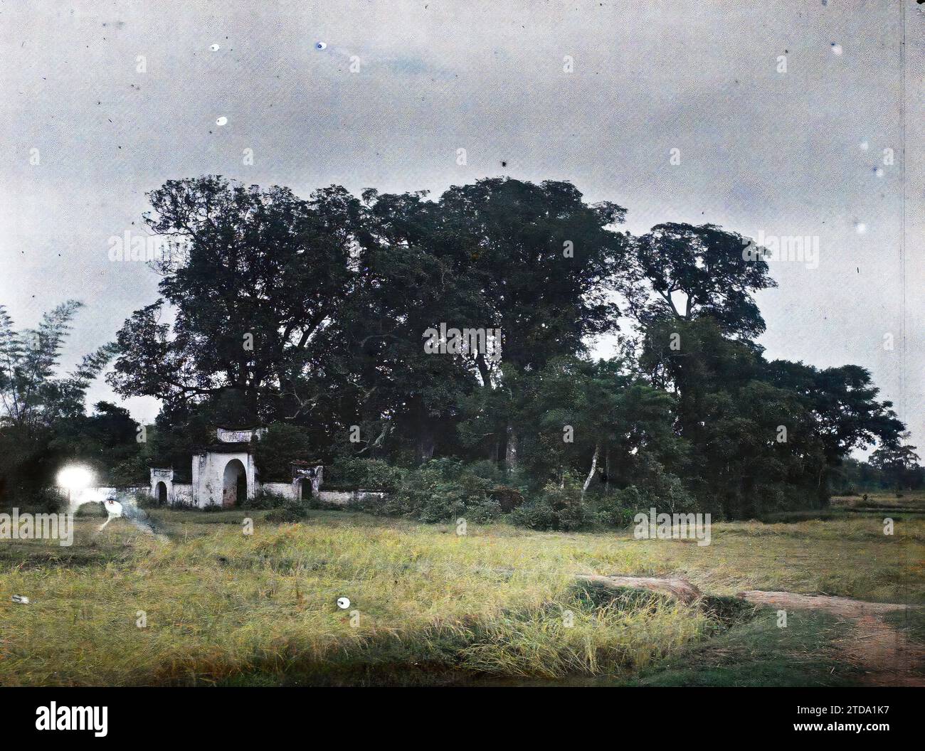 Province of Hà-dông, Tonkin, Indochina A temple in the middle of the ...