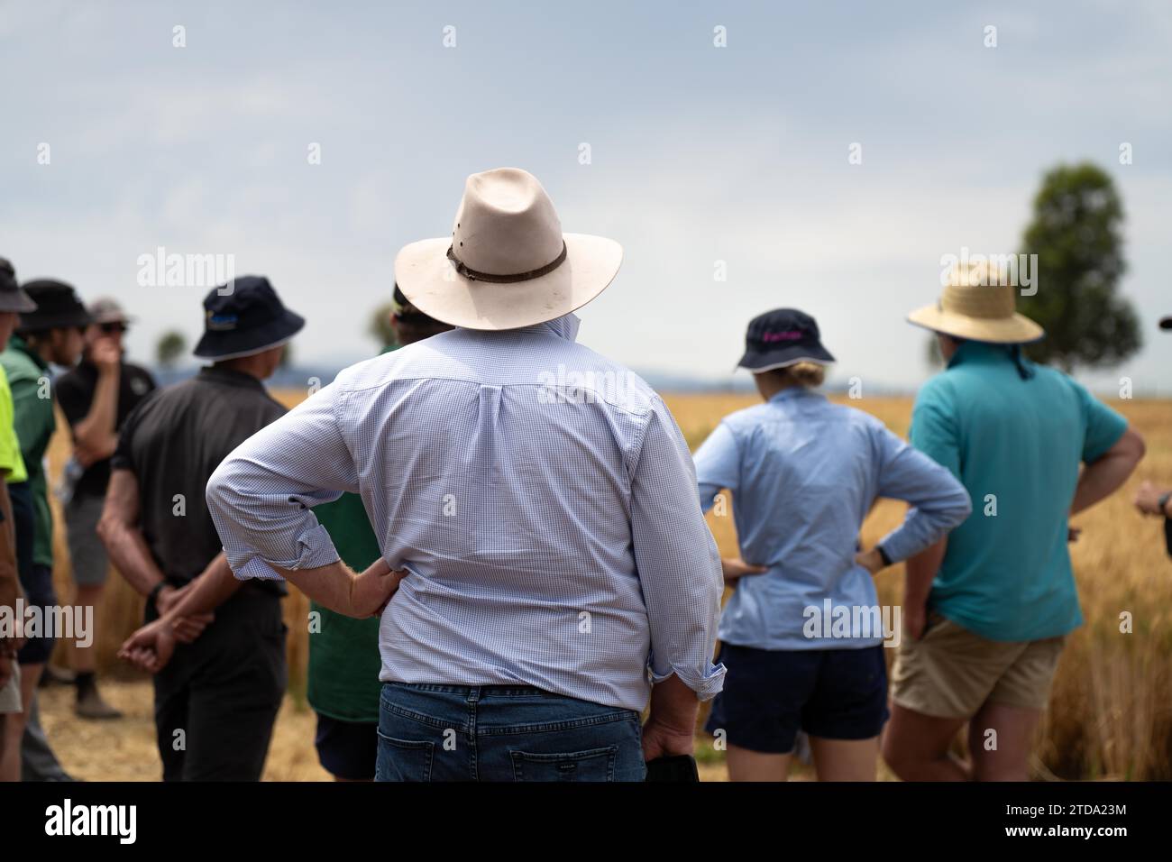 group of farmers in a field learning about wheat and barley crops from ...