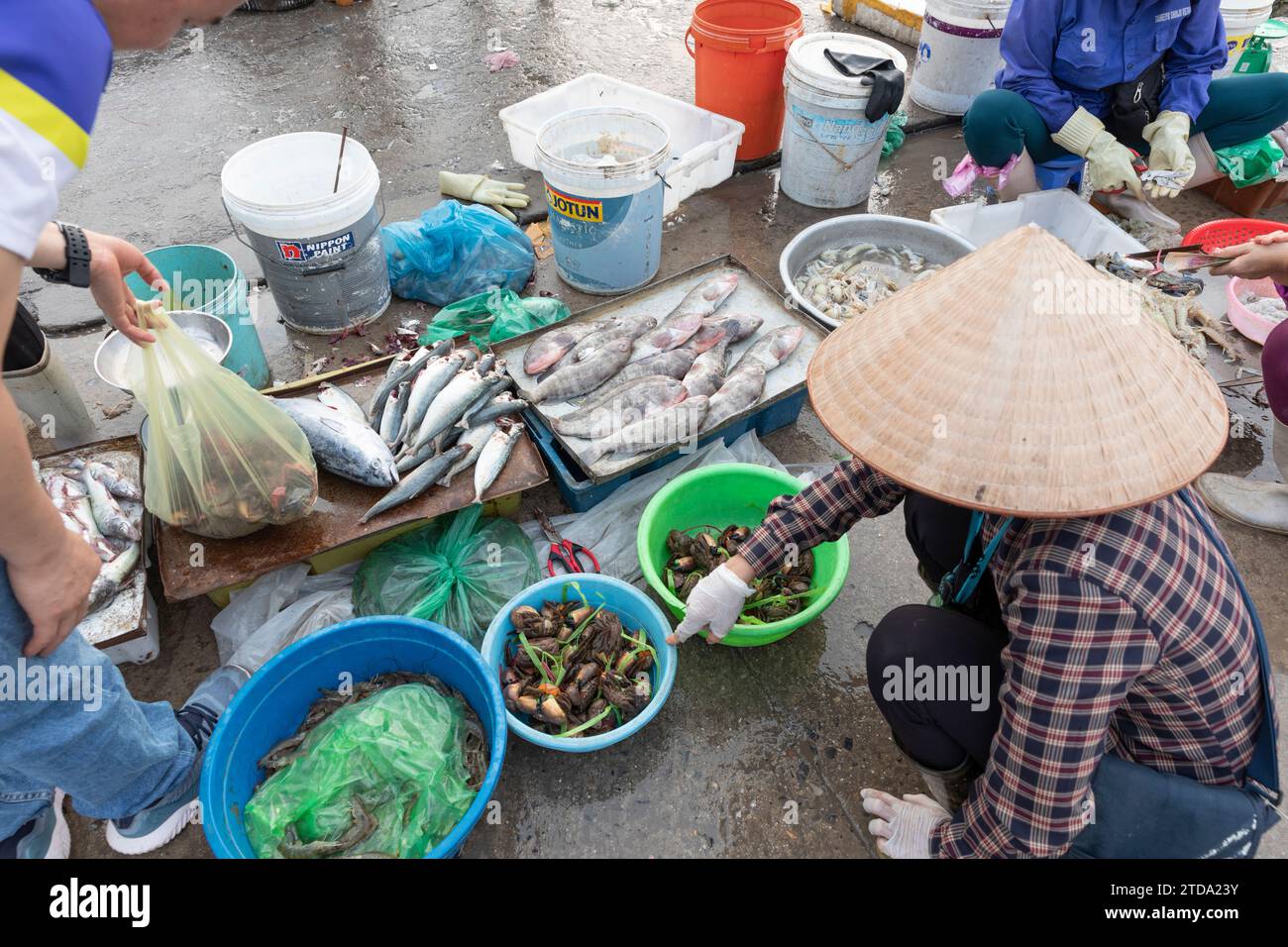 Ha Long bay in Vietnam. Fishermen on market offer seafood, fruits ...