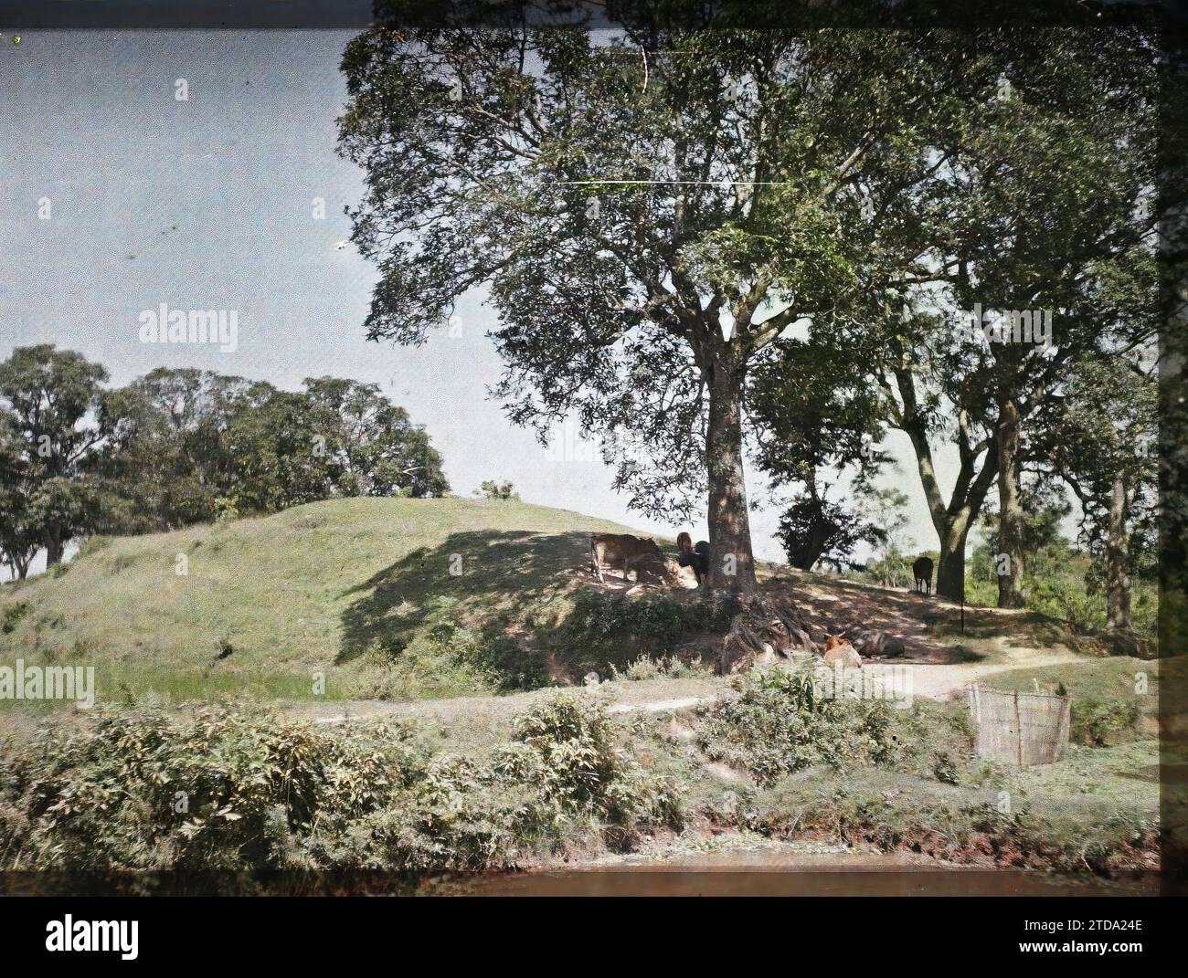 Annamite countryside hi-res stock photography and images - Alamy