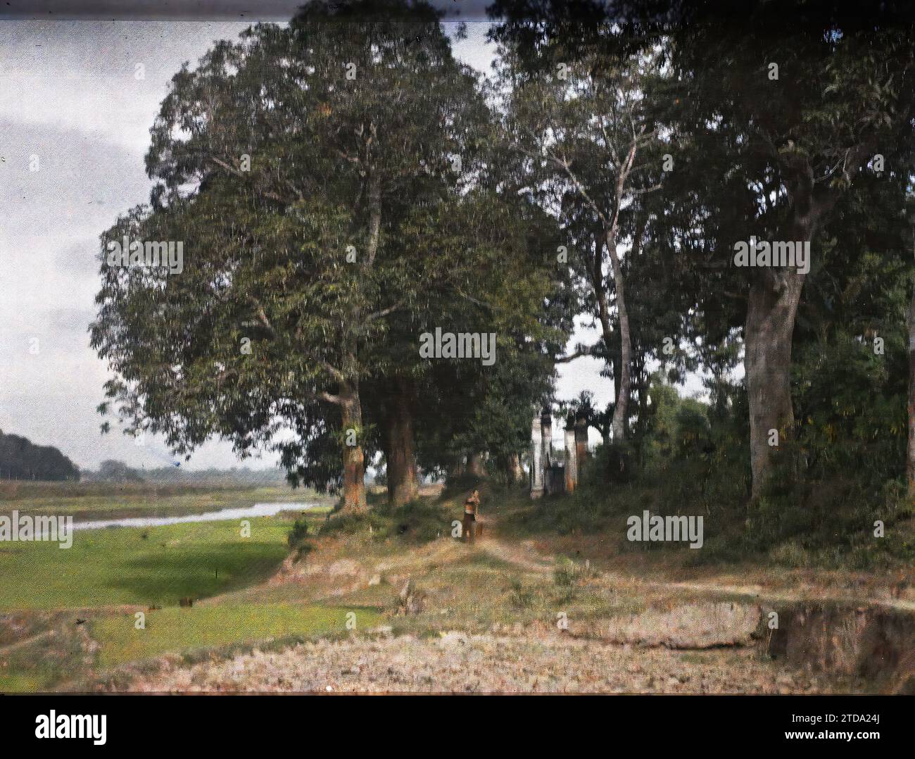 Province of Hà-dông, Tonkin, Indochina A path along a river, Nature ...