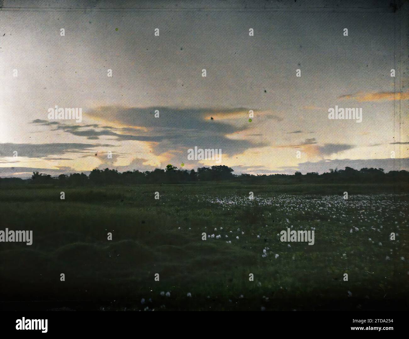 Tonkin, Indochina A sunset over the rice fields, Nature, Environment ...