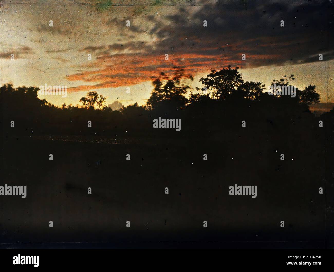 Tonkin, Indochina A sunset over the rice fields, Nature, Environment ...