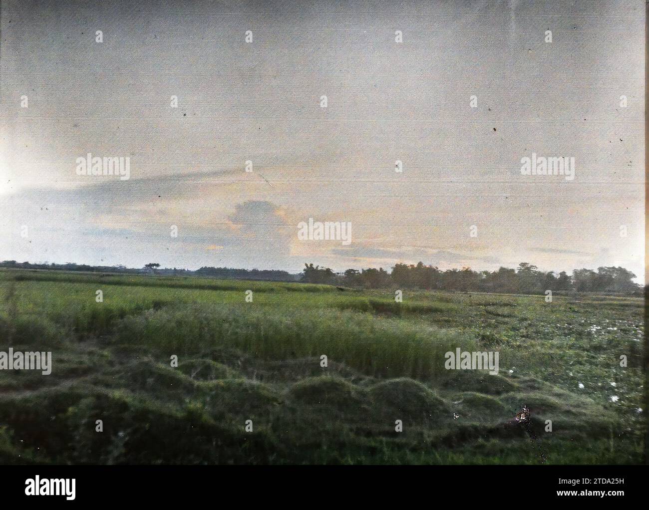 Tonkin, Indochina A sunset over the rice fields, Nature, Environment ...