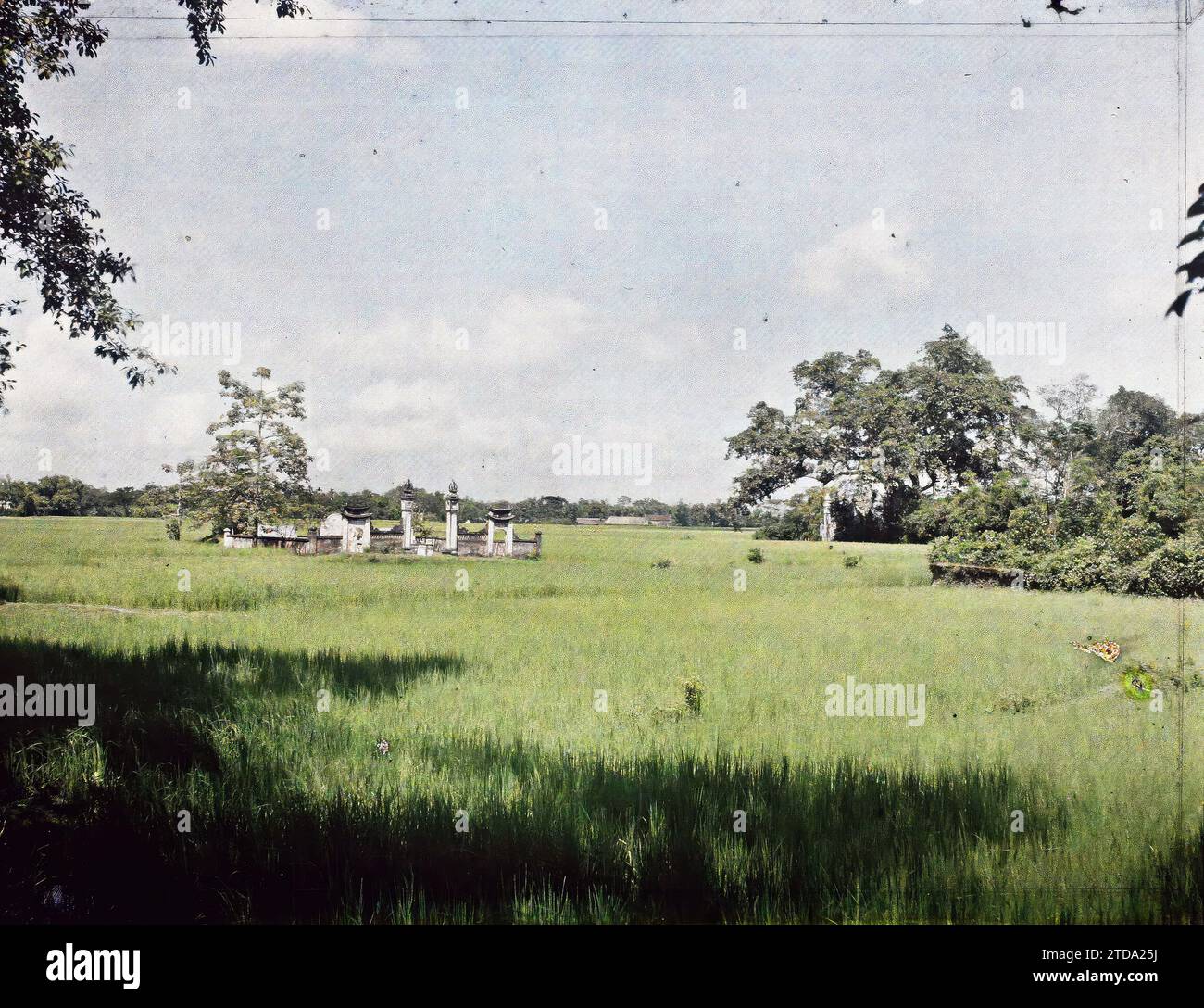 Tonkin, Indochina Rice fields surrounding a temple, Nature, Environment ...
