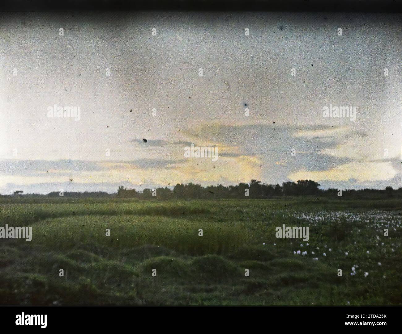 Tonkin, Indochina A sunset over the rice fields, Nature, Environment ...