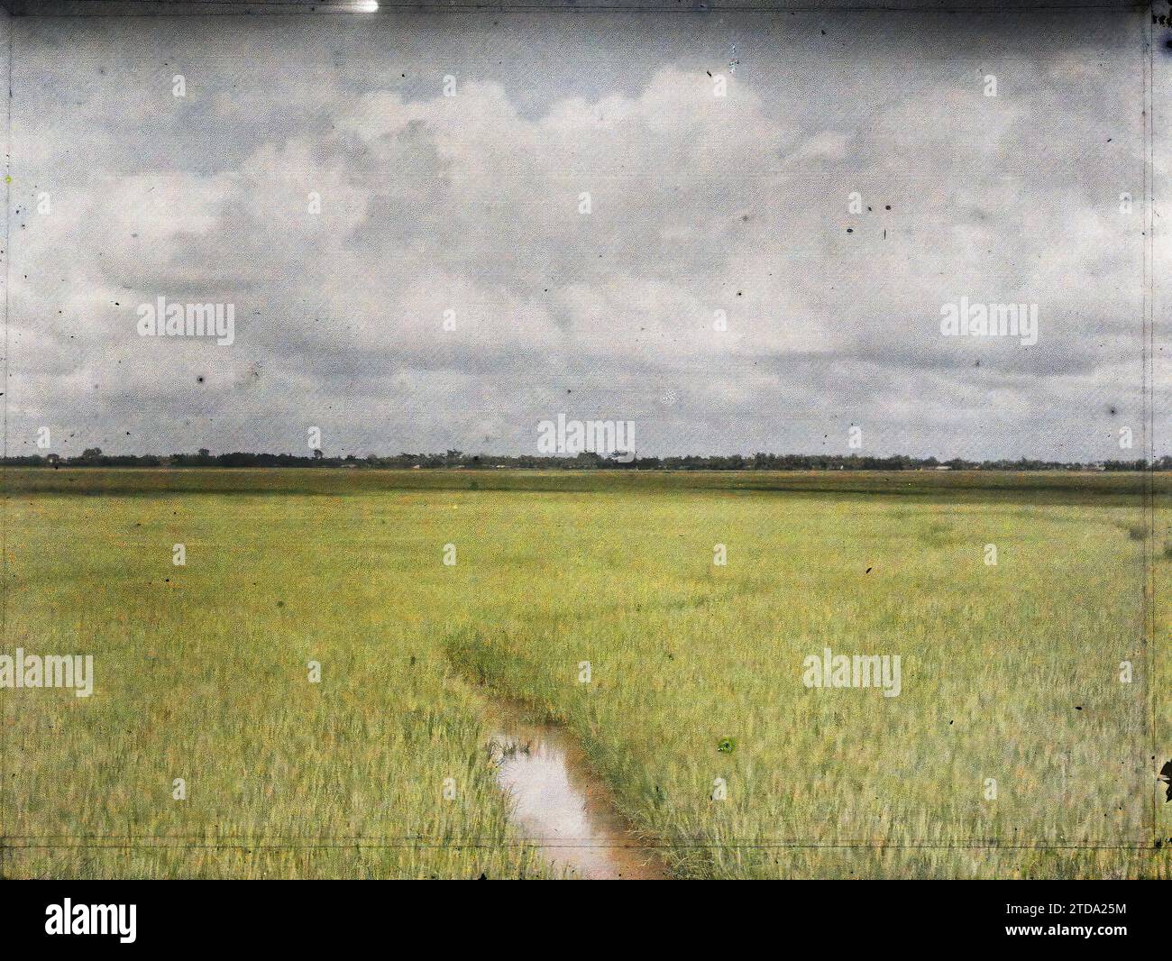 Indochina rice fields stretching hi-res stock photography and images ...